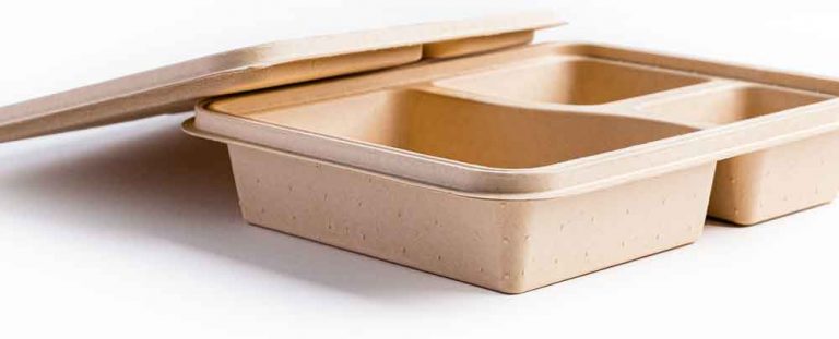 polystyrene alternative biodegradable - Single Use Alternatives